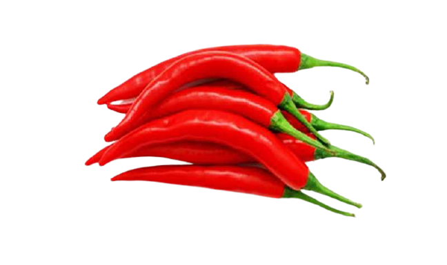 Home [sibapokting.bandungkab.go.id]